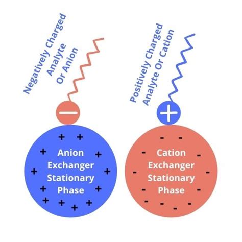 Hplc Complete Guide All About History Definition Principle Types Instrumentation And