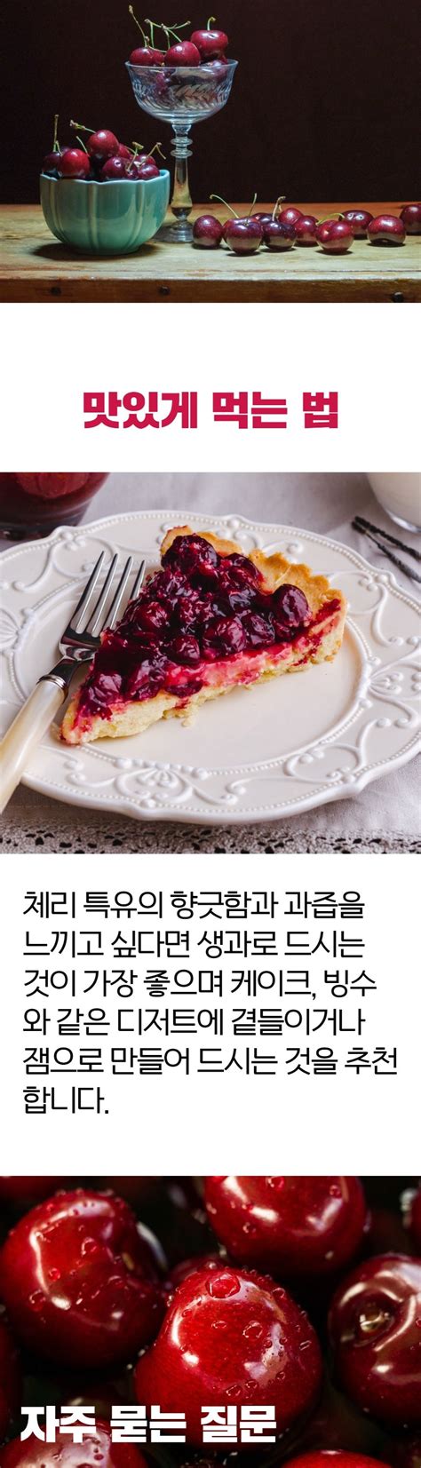 과일 고당도 생체리 500g 1kg 2kg 1키로 왕체리 미국산 오늘의집 쇼핑