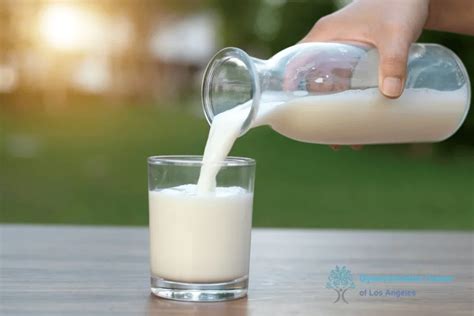 12 Foods That Cause Man Boobs And Gynecomastia Top Tips