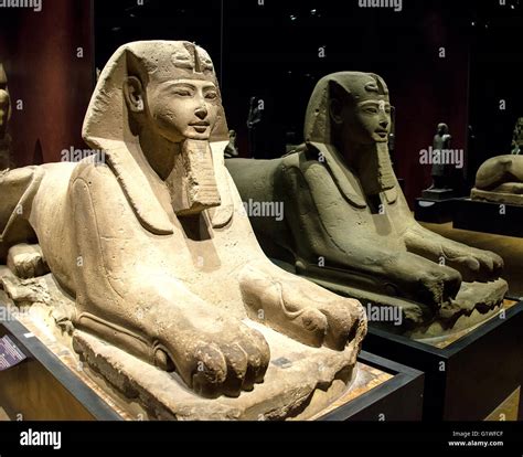 Face And Body Of An Egyptian Sphinx Statue At He Turins Egypt Museum