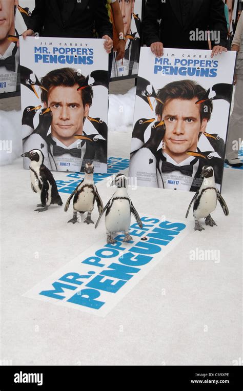 Mr Poppers Penguins Movie