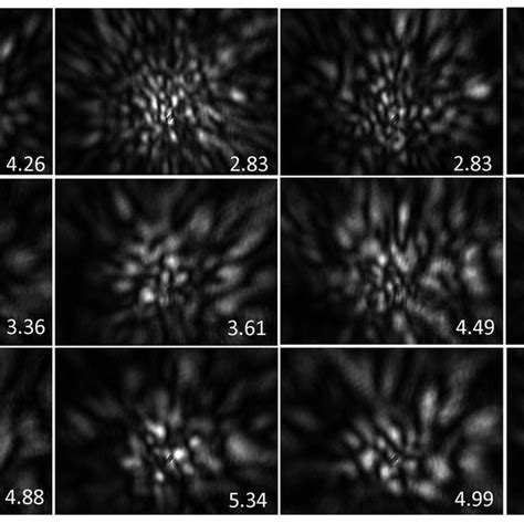 Four S Polarized Diffraction Images From Different Cell Samples With Download Scientific
