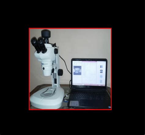 Weld Penetration Inspection System At Best Price In Pune