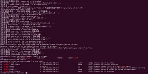 Ubuntu18 04下安装MySQL OpsDrip 博客园