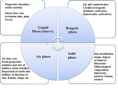 Process And Phases In Flotation 11 Download Scientific Diagram