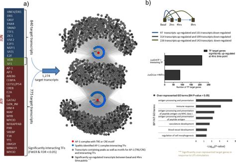 Jund Ap1 Regulatory Network In Bmdm Macrophages A Integrative Download Scientific Diagram