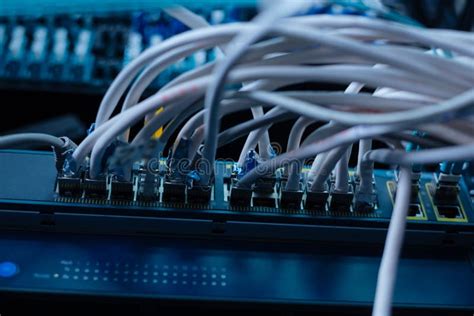 Lots Of Ethernet Cables Being Connected To The Router Stock Photo Image Of Datacenter Network