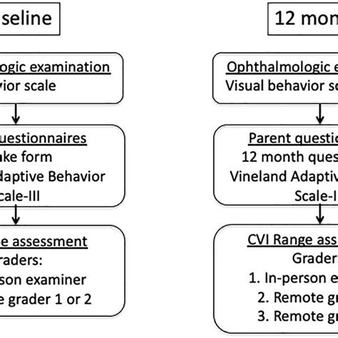 Pdf Validity And Reliability Of Cvi Range Assessment For Clinical