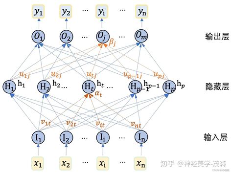 【脑图】深度学习中feedforward neural network（前馈神经网络）与mlp（多层感知机）的增效作用 知乎