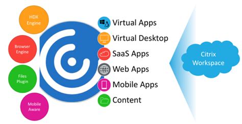 Citrix Workspace Ios Powerholoser