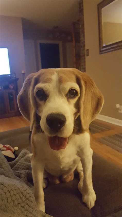 Happy Sweet 16 Sadie Scrolller Happy Sweet 16 Sadie Scrolller