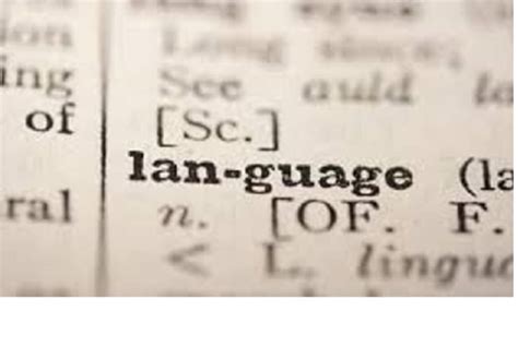 Check Your English Is Grammatically Correct By Djeentje Fiverr