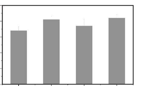 Typical X Ray Diffraction Pattern Of Porcelain After Firing Vm9 910