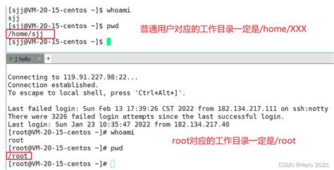 linux基础命令速览：从ls到自动化运维 csdn博客