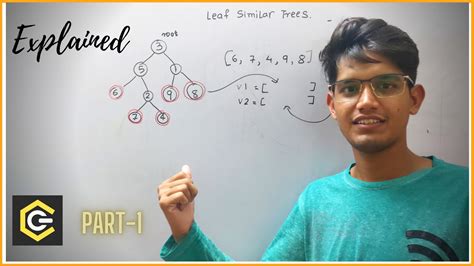 q1 leaf similar trees city coder youtube