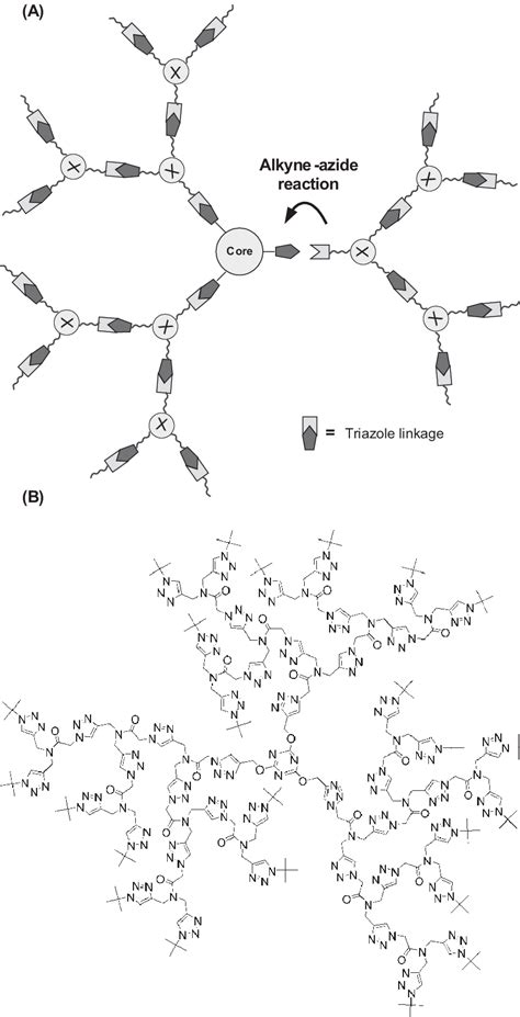 A Schematic Illustration Of The Generation Of Diverse Dendritic