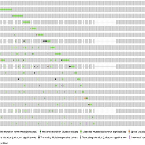 Independence Of The 20 Gene Mutation Signature From Pd L1 In Predicting Download Scientific