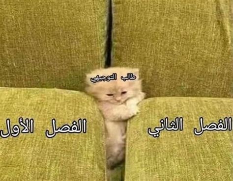 طالب التوجيهي وهو براجع المواد منصة أساس توجيهي Facebook