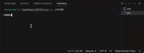 How To Run Objectscript Commands In The Vs Code Integrated Terminal