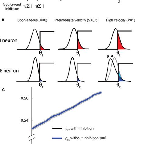 Binary Network Capture E Cell Statistics Ai Binary Neuron Model