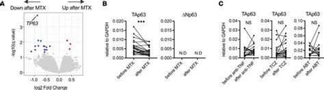 Jci Insight Tap63 A Methotrexate Target In Cd4 T Cells Suppresses Foxp3 Expression And