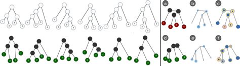 Figure 1 From A Structural Average Of Labeled Merge Trees For