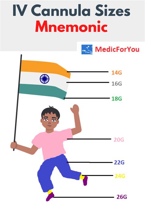 Learn Everything About Iv Cannula Procedure Common Vein Sites Sizes