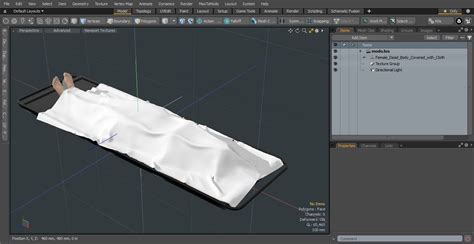 Female Dead Body Covered With Cloth 3d Model 59 3ds Blend C4d