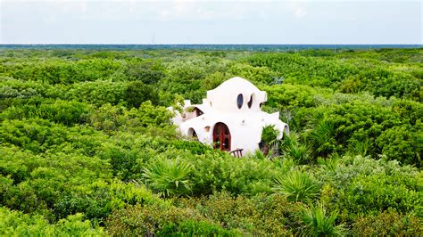 Treehouse Hotel Room Peeps Above Canopy Of Mexicos Tropical Woodland