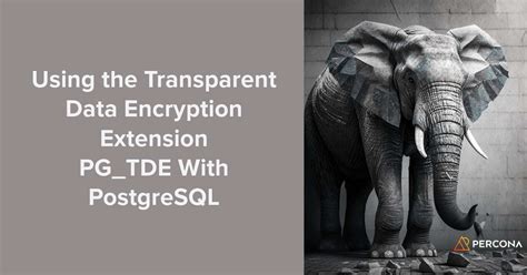 Using The Transparent Data Encryption Extension PG TDE With PostgreSQL
