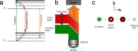 Figure 12 From Direct Stochastic Optical Reconstruction Microscopy Dstorm Imaging Of Cellular