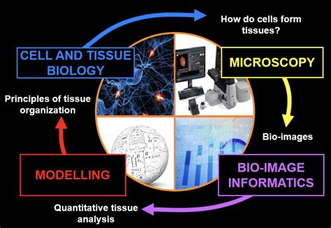 Msc En Física Fundamental Yt