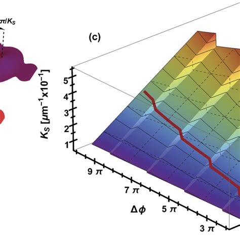 Emergence Of Anomalous Periodicity A Two Localized One Dimensional Download Scientific