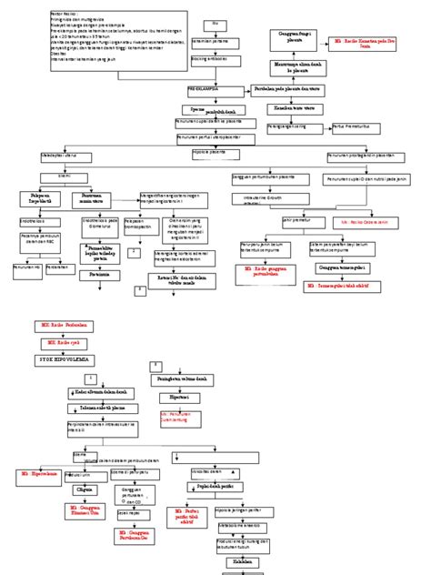 Pathway Peb Perbaikan Pdf