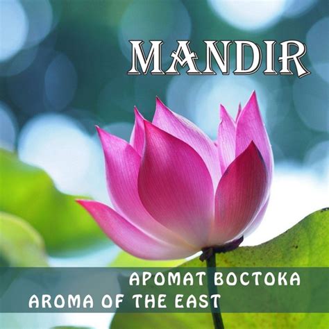 Letra De Devi Stotram De Mandir Musixmatch