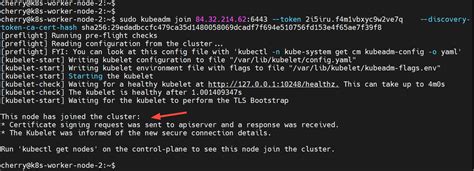 How To Install Kubernetes On Ubuntu 2404 Step By Step Cherry Servers