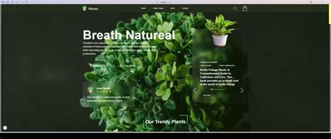 webdevelopment react nextjs frontend javascript typescript