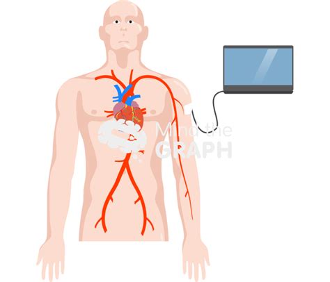 Central Aortic Pressure Measurement Body Full