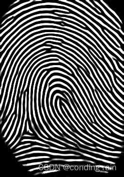 python指纹识别算法亲测代码可用 python 指纹识别 CSDN博客