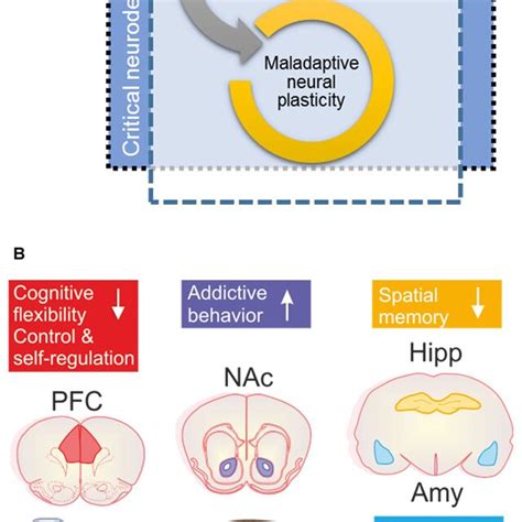 Theoretical Framework As Venn Diagram Showing Intersections Of Learning Download Scientific