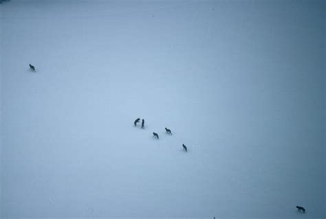 Yolov5 Object Detection Model By Yy