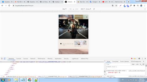 Display Tagline On Brine Mobile Customize With Code Squarespace Forum