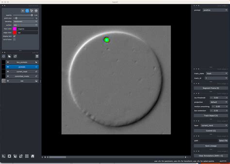 tracking fast moving cells usage and issues image sc forum