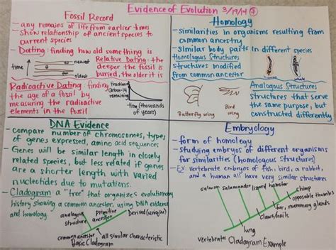 Evidence Of Evolution Biology Glad Anchor Chart