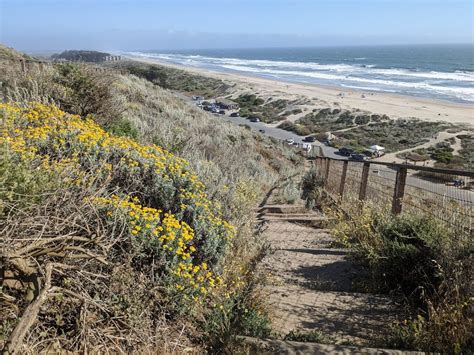 Sunset State Beach Campground United Statess Camp Guide