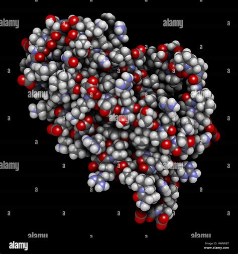 Eritropoietina Epo Umana Epoetina Ormone Proteico Rendering 3d