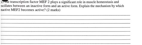 solved c the transcription factor mef 2 plays a significant