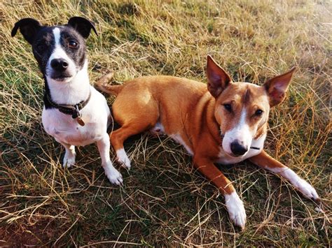 Cristina Guijarro Clarke On Linkedin Companyculture Worklifebalance