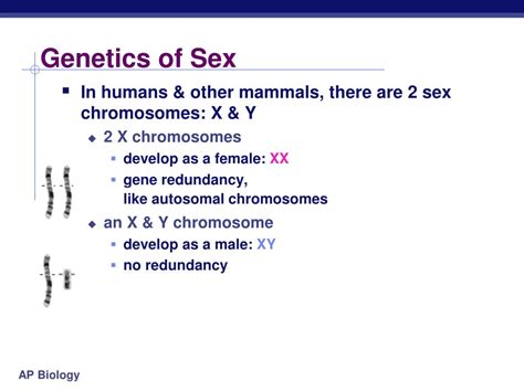 PPT Beyond Mendels Laws Of Inheritance PowerPoint Presentation Free Download ID