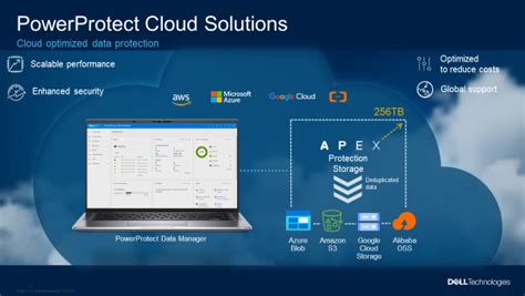 apex protection storage for public cloud securing the aws environment